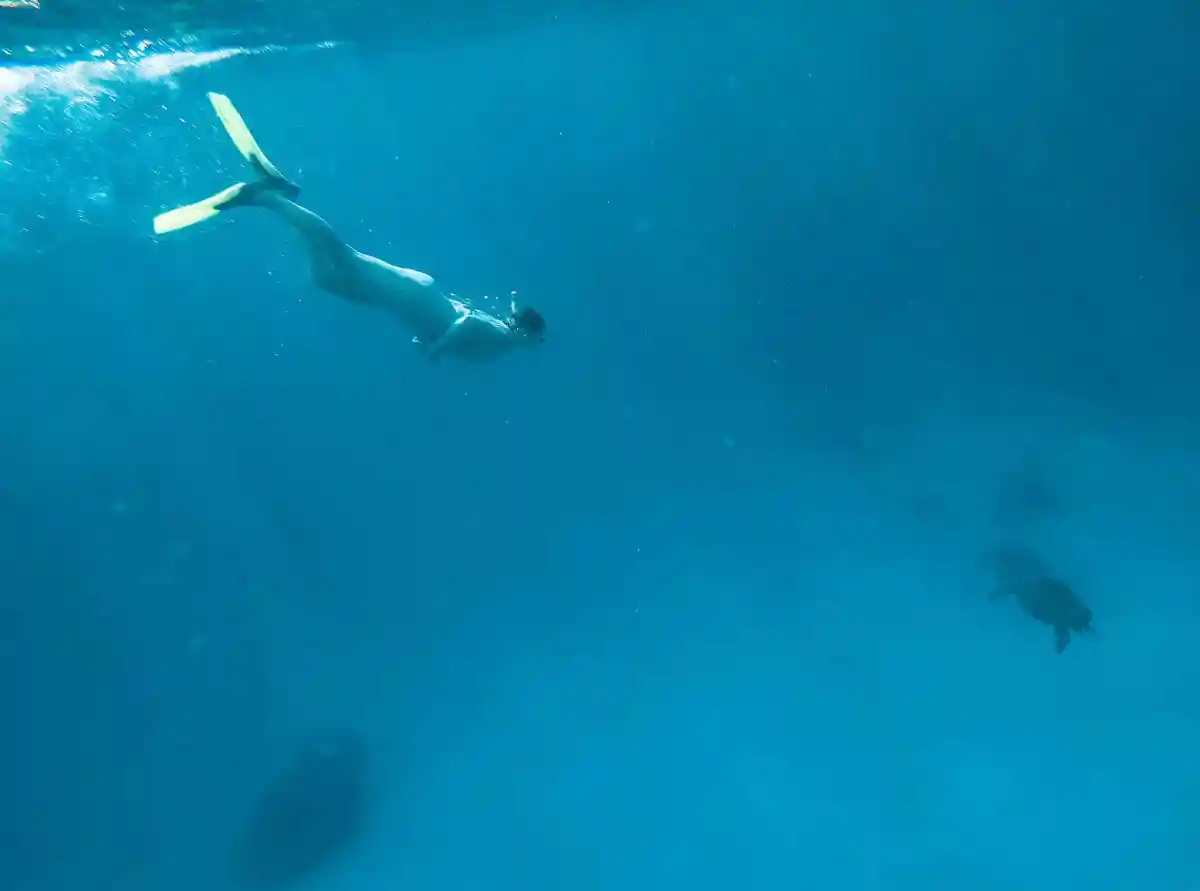 Lady Elliot Island - Don't Miss This Great Barrier Reef Island • Amanda ...