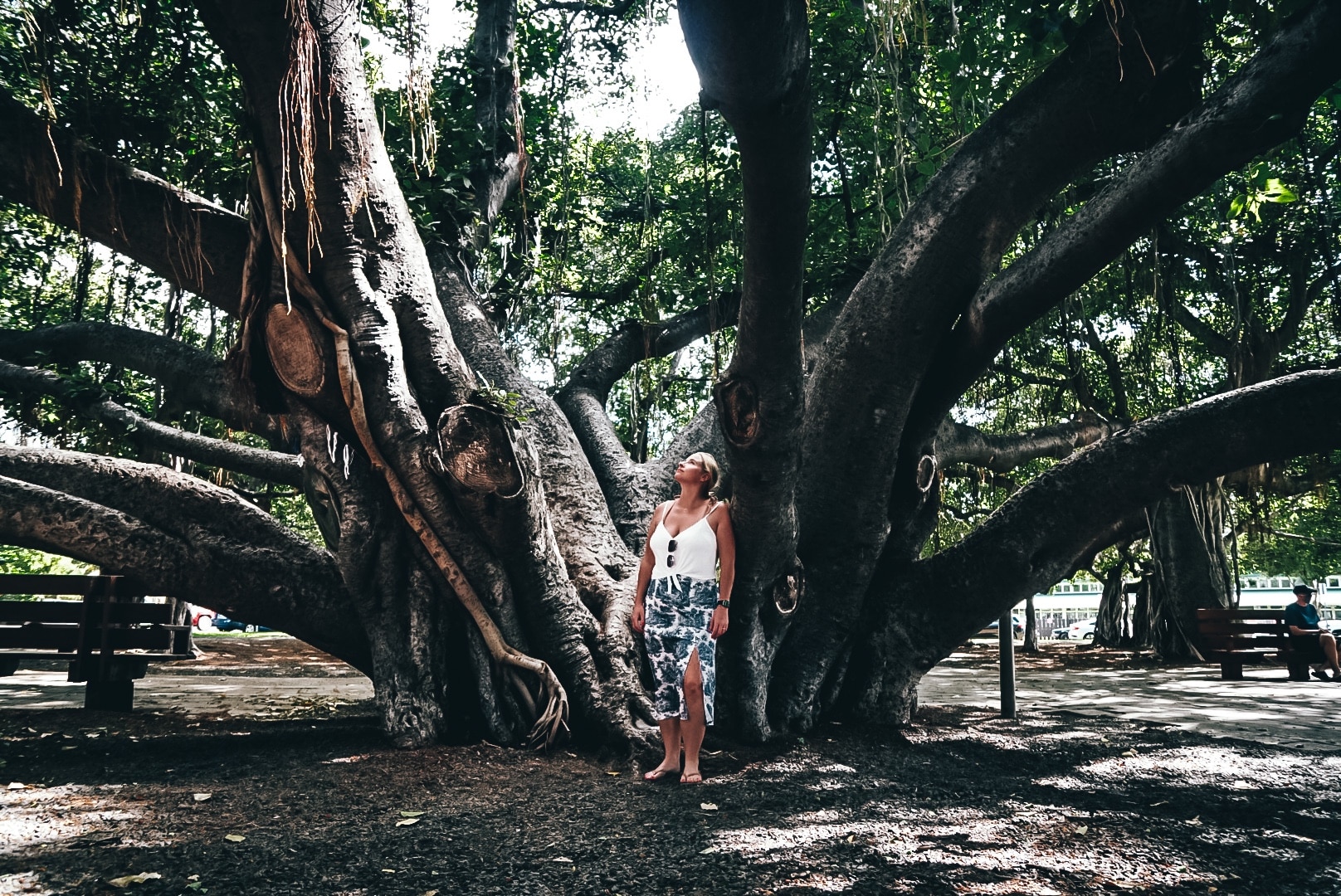 The Perfect 4-Day Maui Itinerary • Amanda Wanders