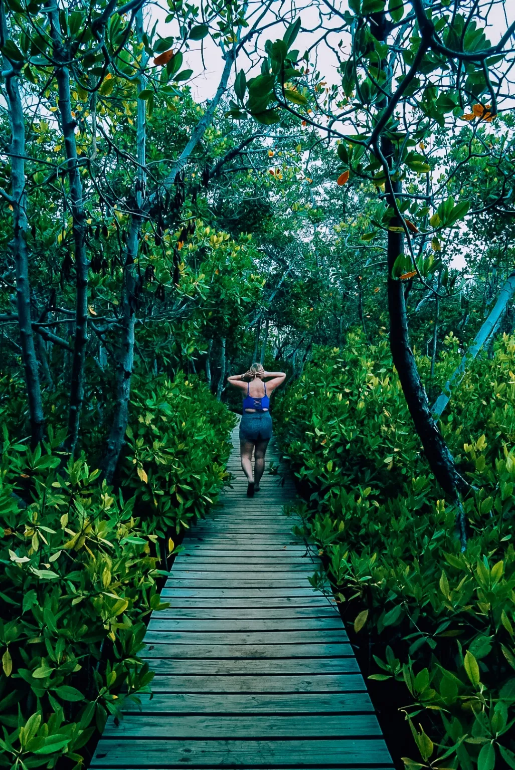 Go Swimming in a Bioluminescent Bay in Puerto Rico • Tour La Parguera ...