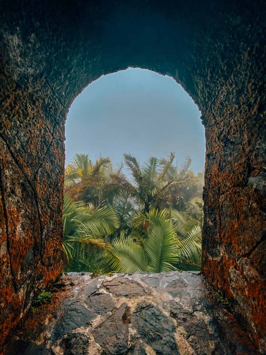 8 Tips for Your Day at El Yunque Rainforest • Amanda Wanders