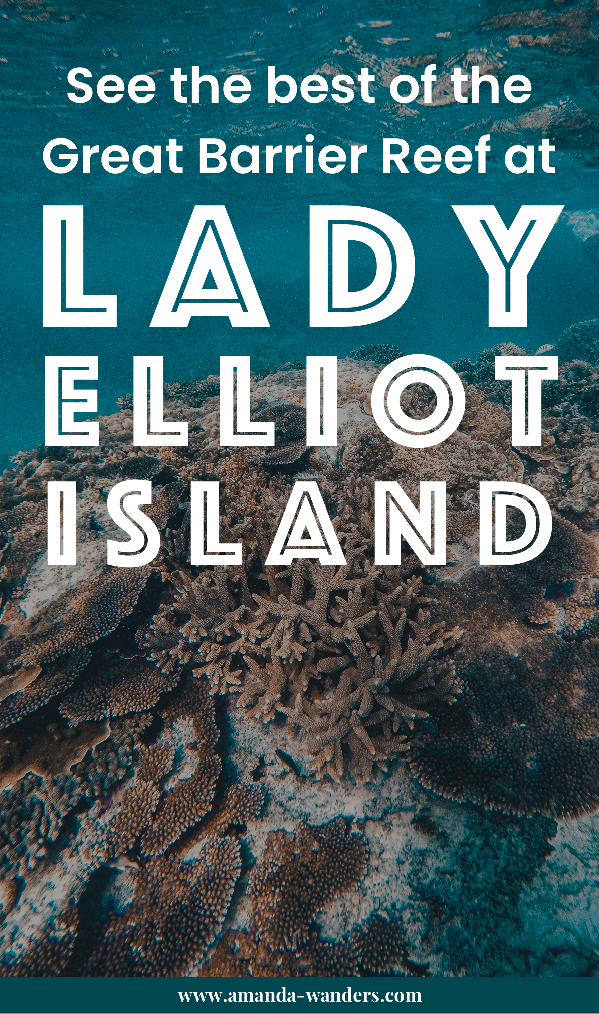 Lady Elliot Island - Don't Miss This Great Barrier Reef Island • Amanda ...
