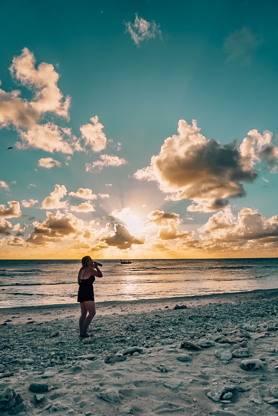 Lady Elliot Island - Don't Miss This Great Barrier Reef Island • Amanda ...