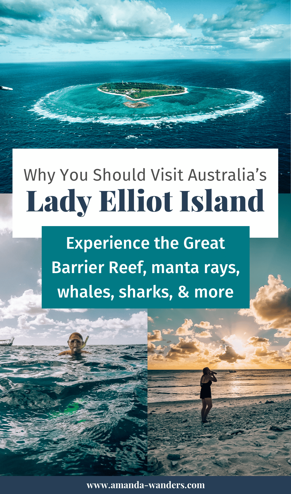 Lady Elliot Island - Don't Miss This Great Barrier Reef Island • Amanda ...