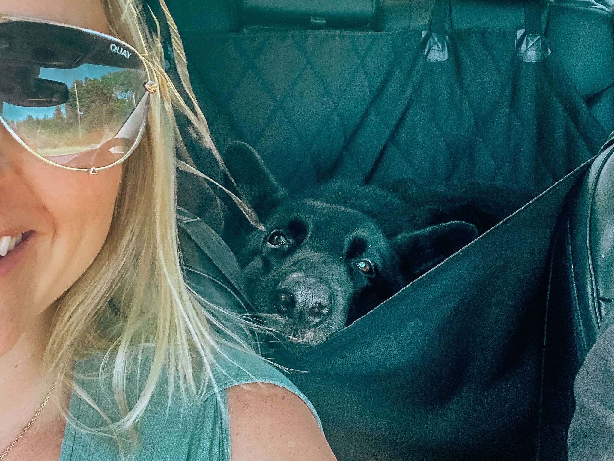 17 Tips for Road Trips With Your Dog • Amanda Wanders