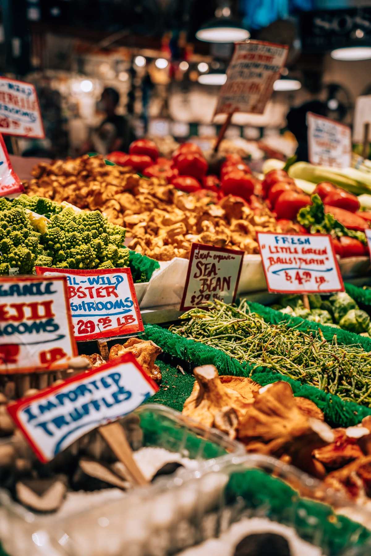 One Day Seattle Itinerary • Best Things to Do in Seattle • Amanda Wanders