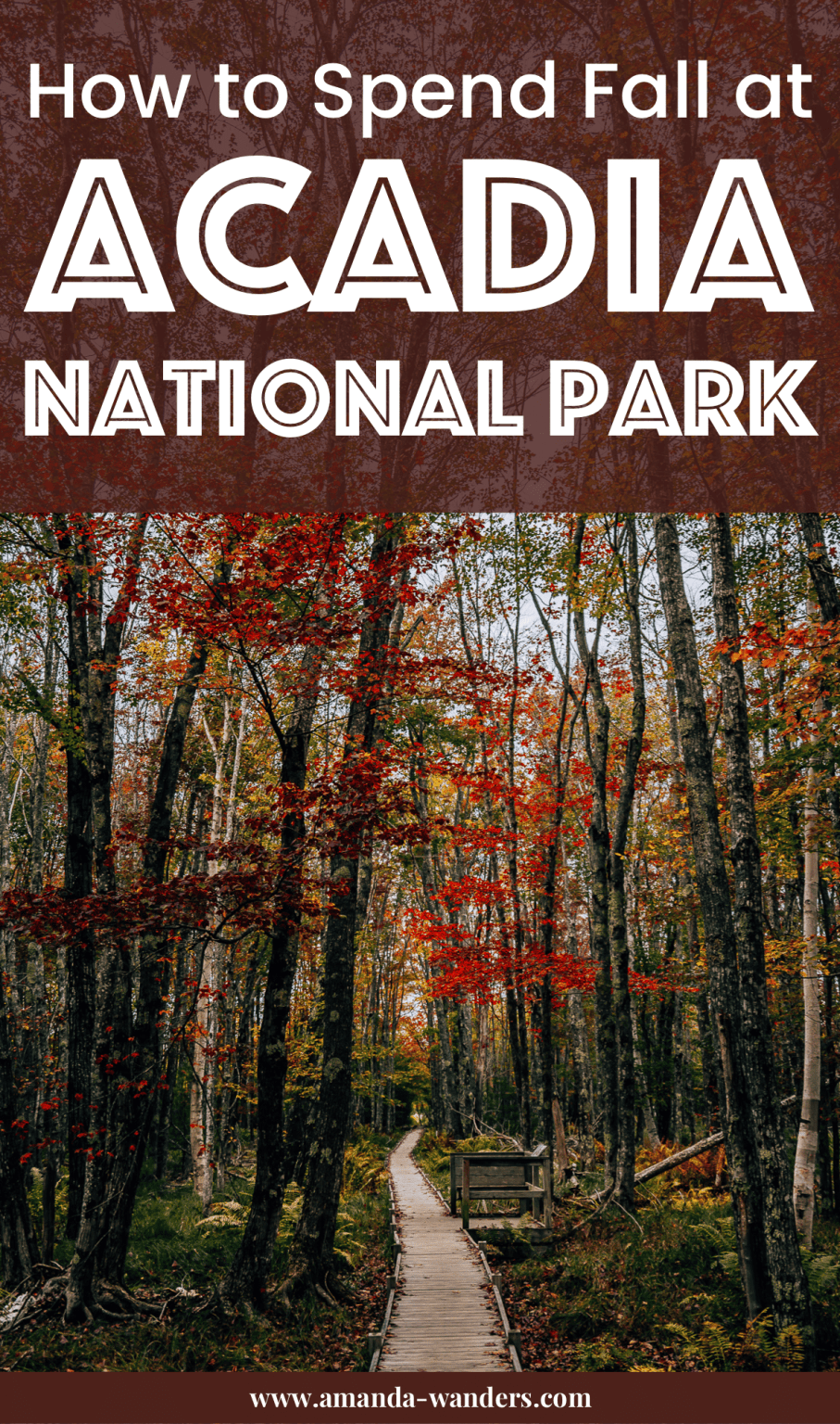 Guide to Acadia National Park in October for New England's Best Fall ...