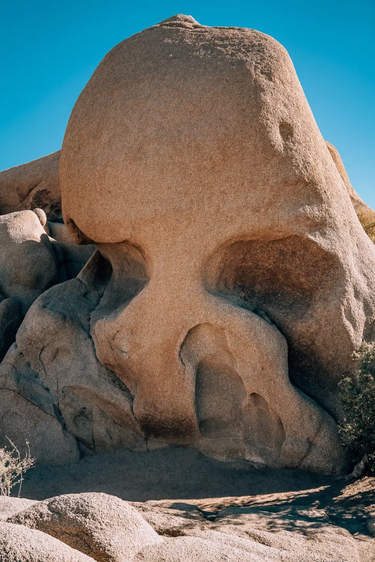 1 Day Joshua Tree Itinerary • 5 Best Things to Do • Amanda Wanders