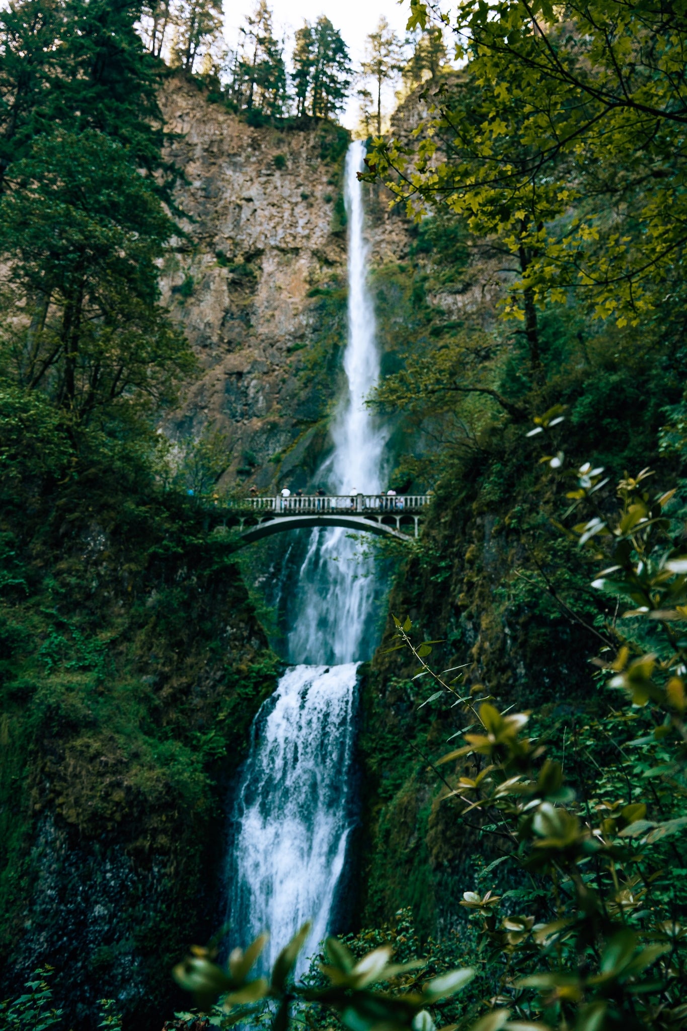 3 of the Must-Do Best Day Trips from Portland, Oregon • Amanda Wanders