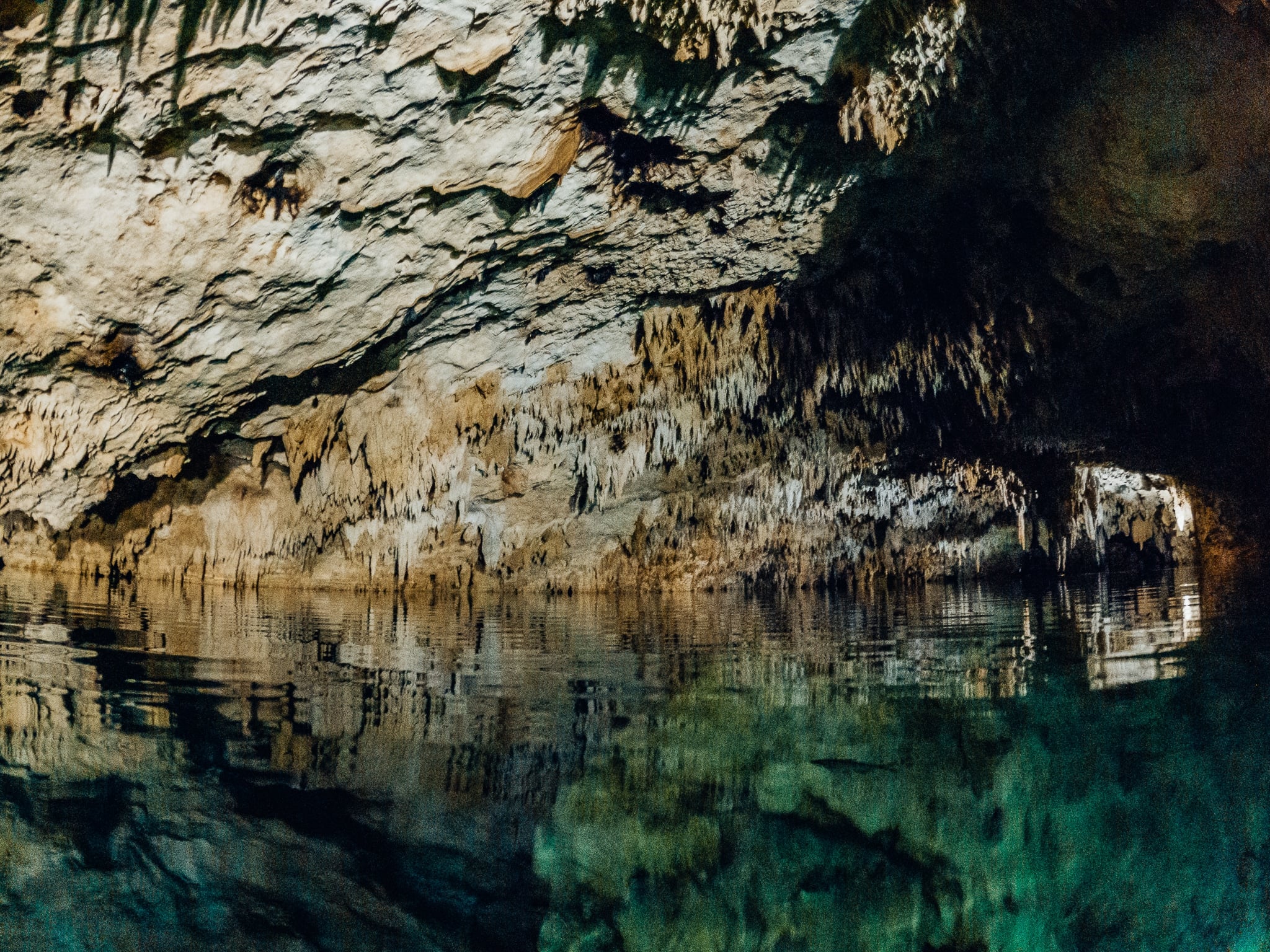 Hidden Gems: 2 Best Cenotes Near Tulum • Amanda Wanders