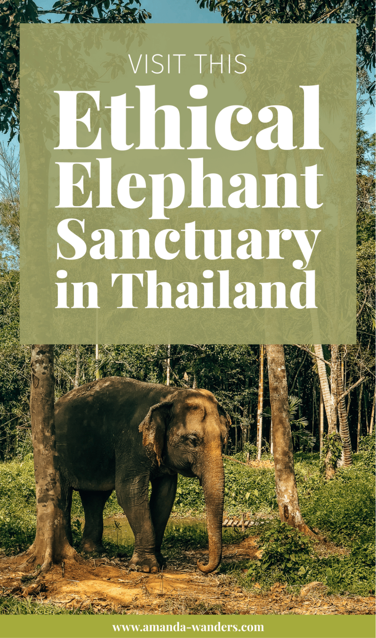 Visit This Truly Ethical Elephant Sanctuary in Phuket, Thailand ...