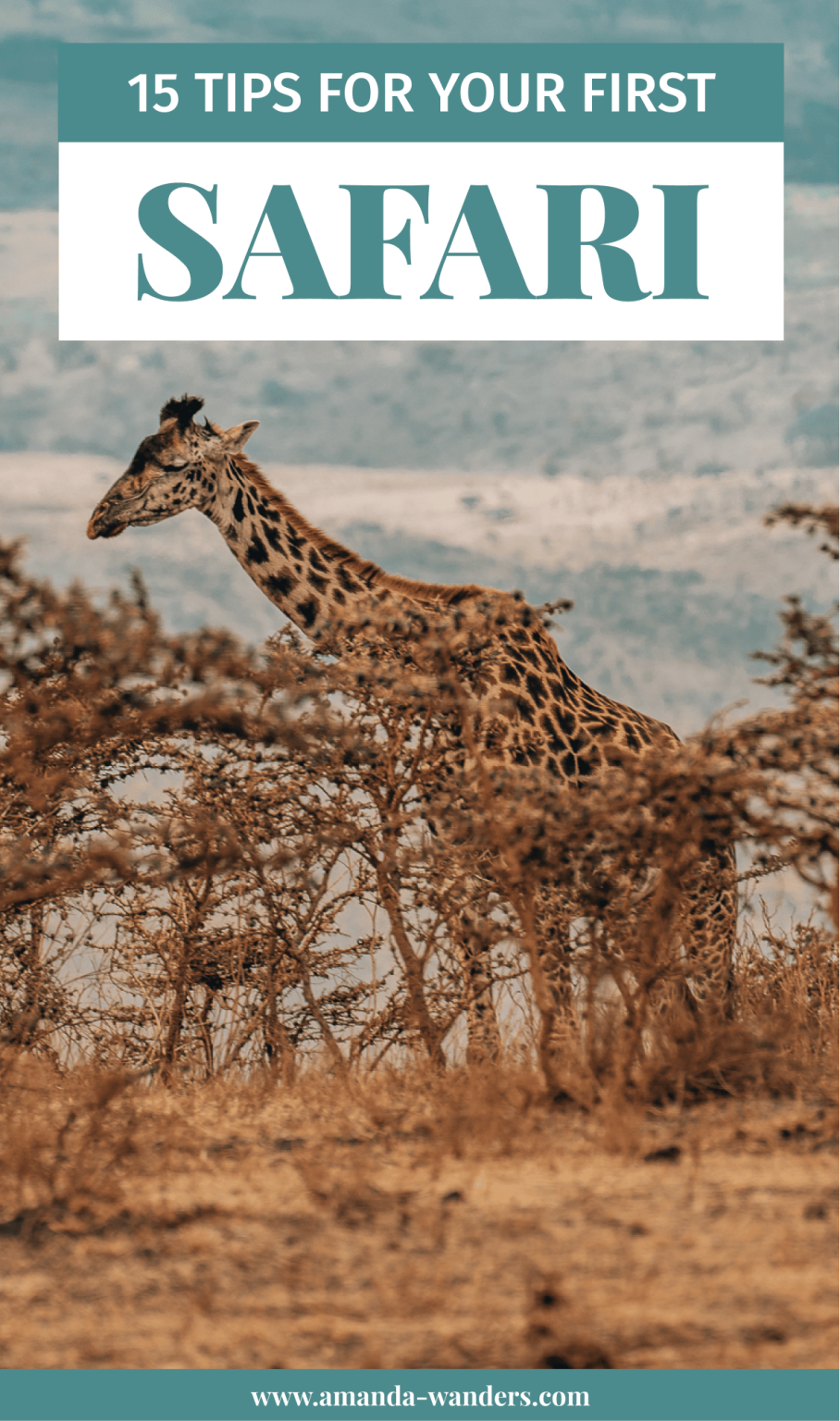 15 Tips for Your First African Safari & Things to Know Before You Go ...