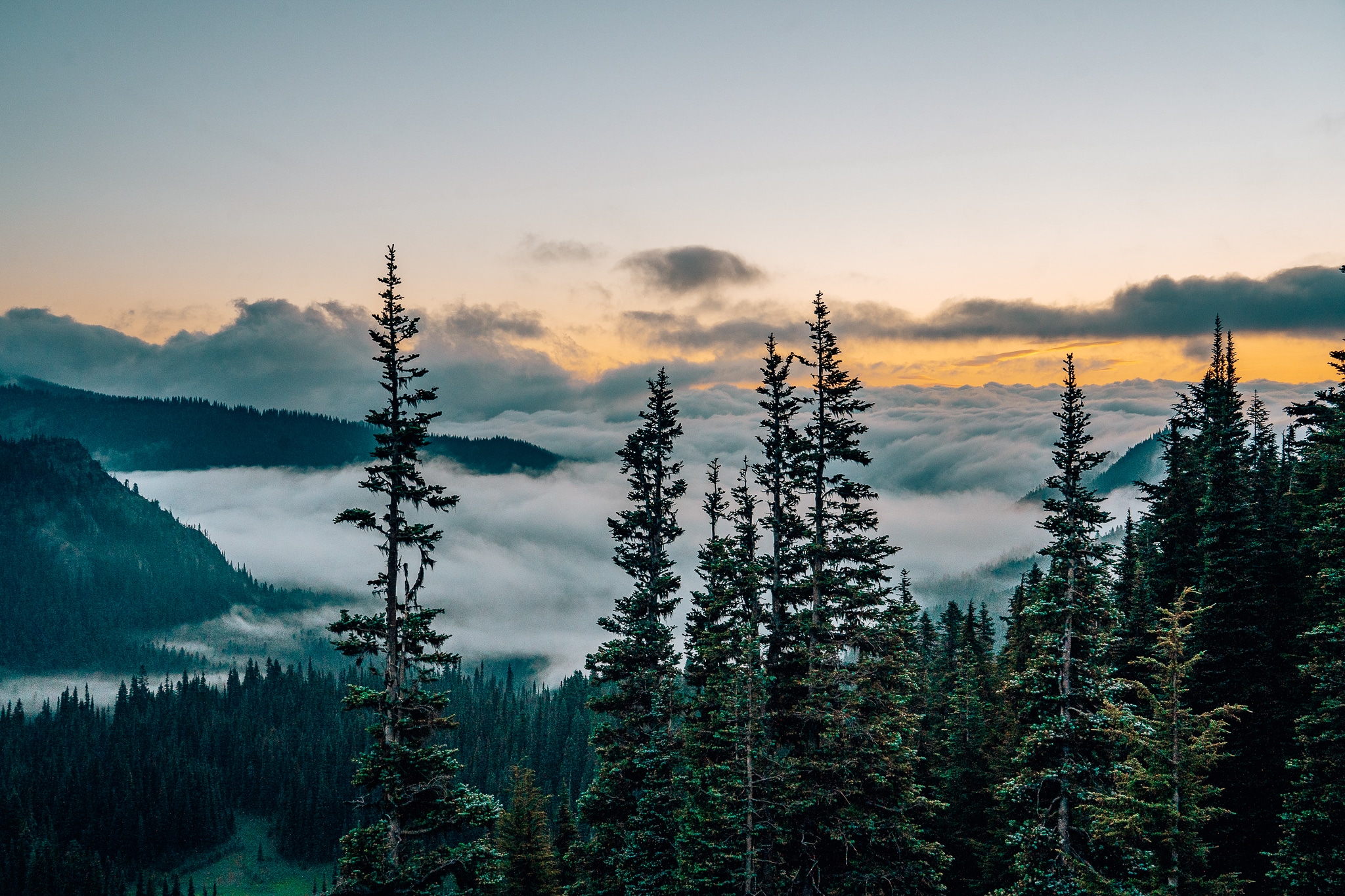 1 Day in Mount Rainier Itinerary • How to Spend a Day • Amanda Wanders