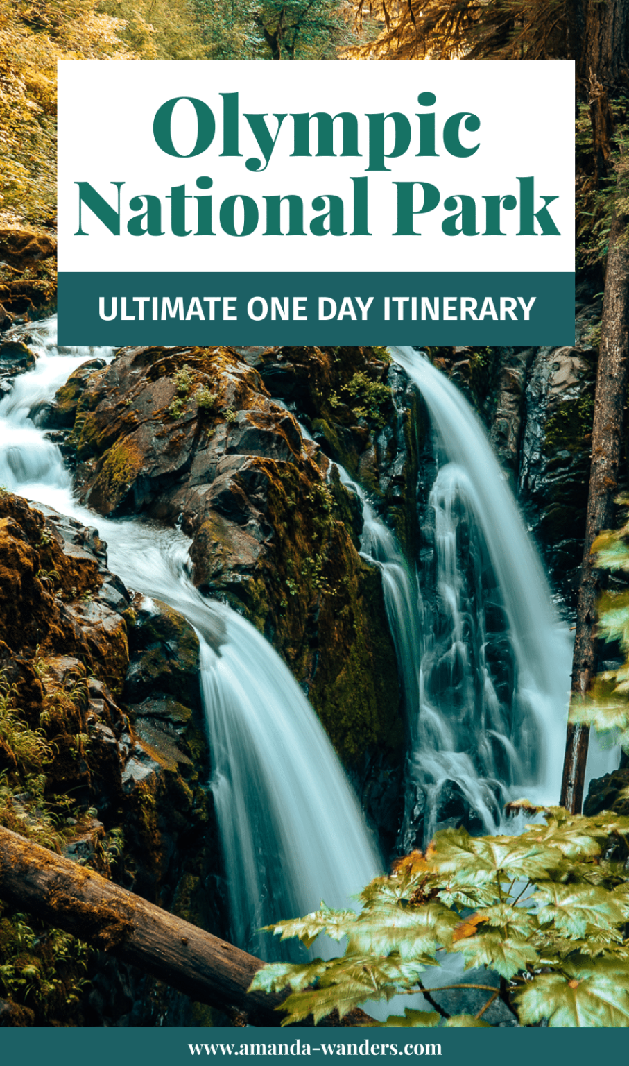 1 Day Itinerary for Olympic National Park • Amanda Wanders