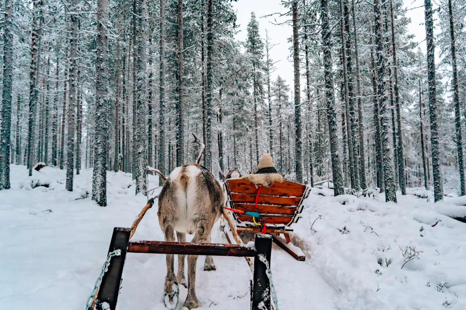 6 Day Lapland Winter Road Trip Itinerary • Finland • Amanda Wanders